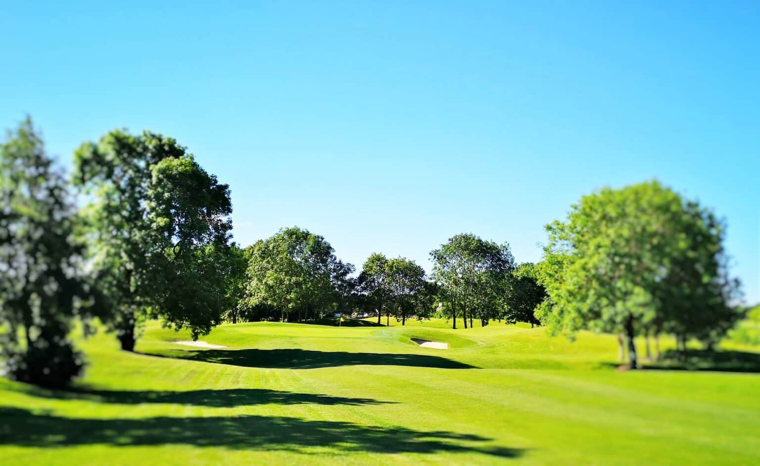 Golf Courses - Roganstown & Swords Golf Clubs